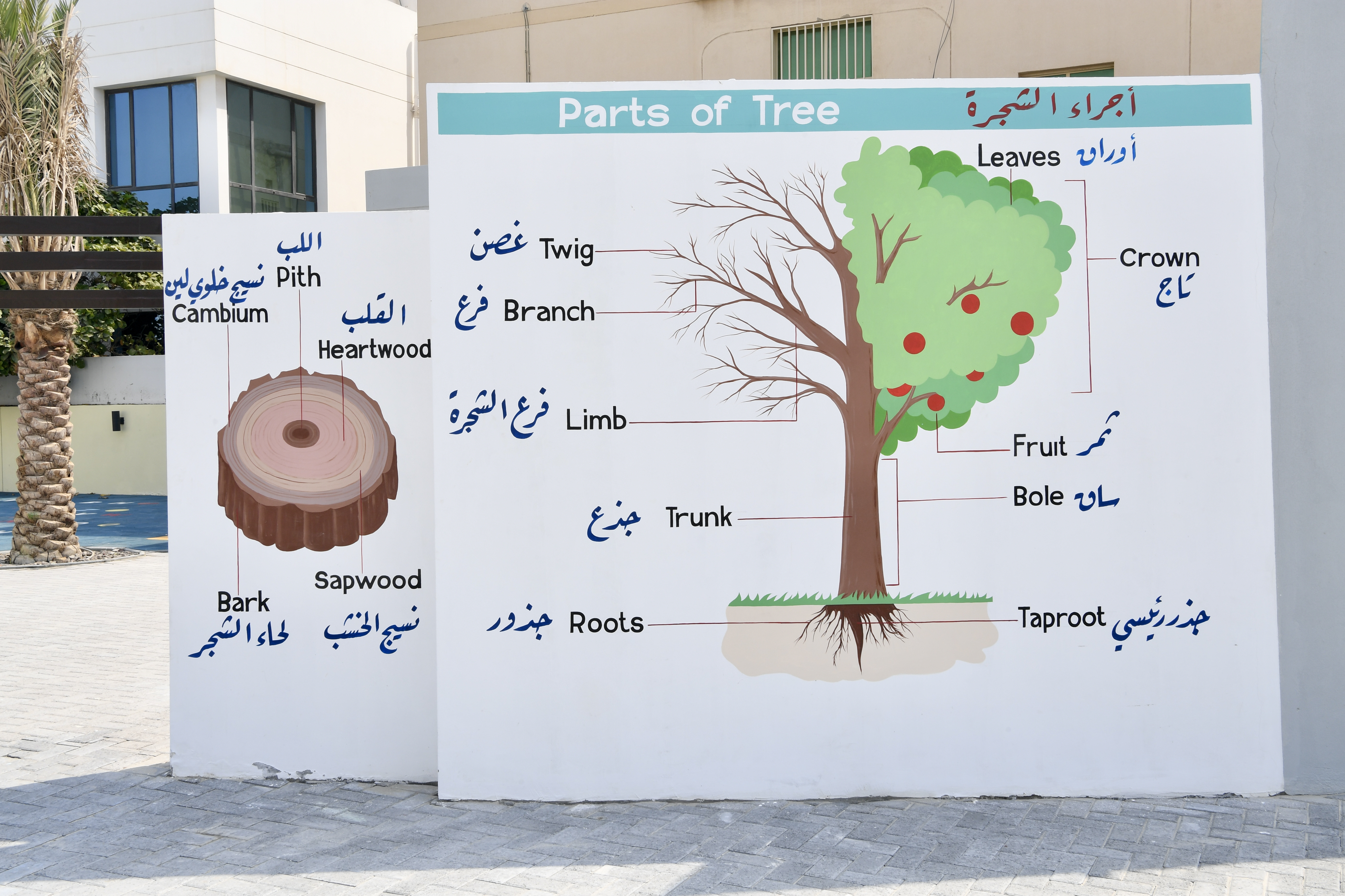 The Educational Park | Ministry of Municipalities Affairs and Agriculture