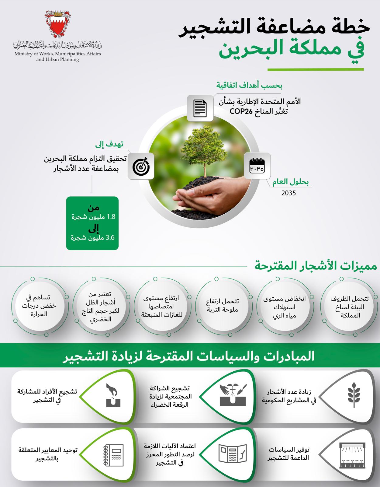 The National Afforestation Strategy Aims To Double The Number Of Trees ...